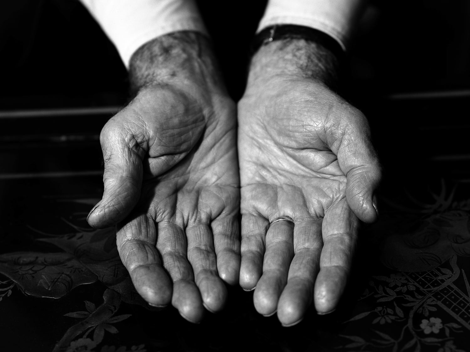Hands – Timothy White