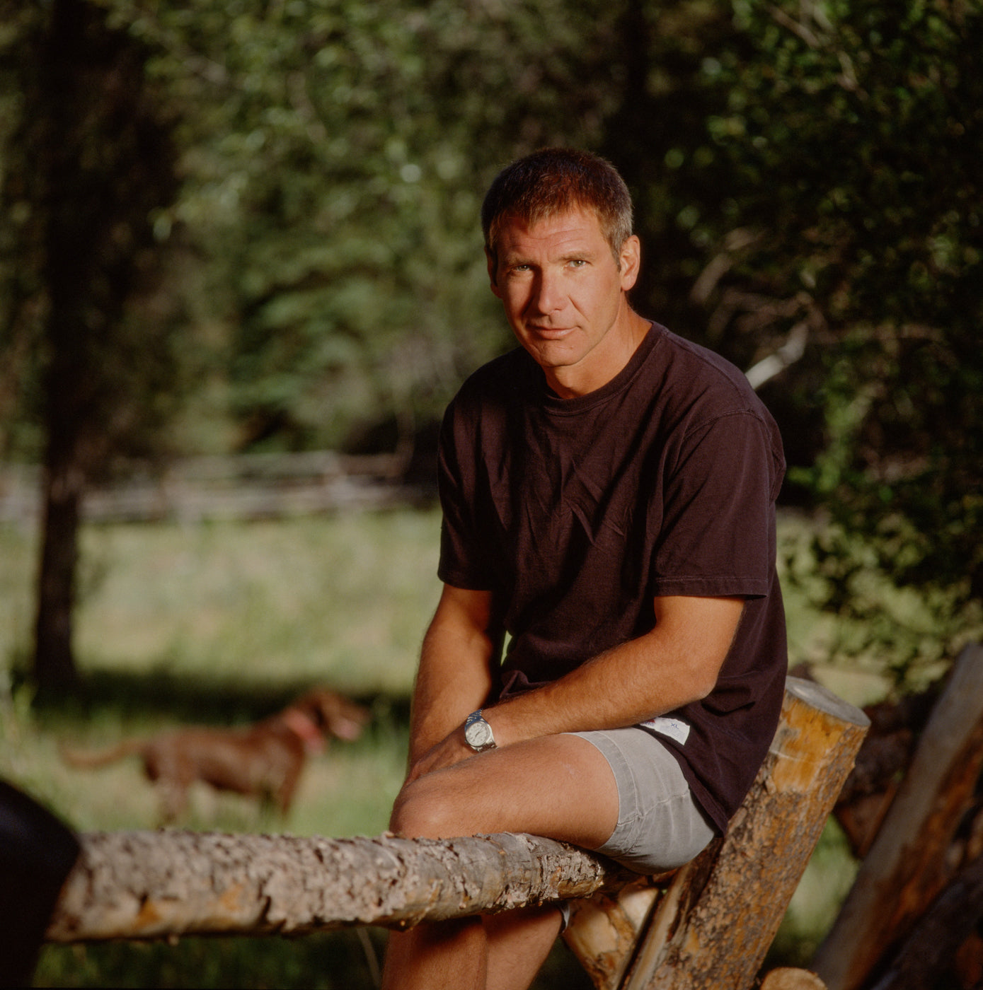 Harrison Ford – Timothy White