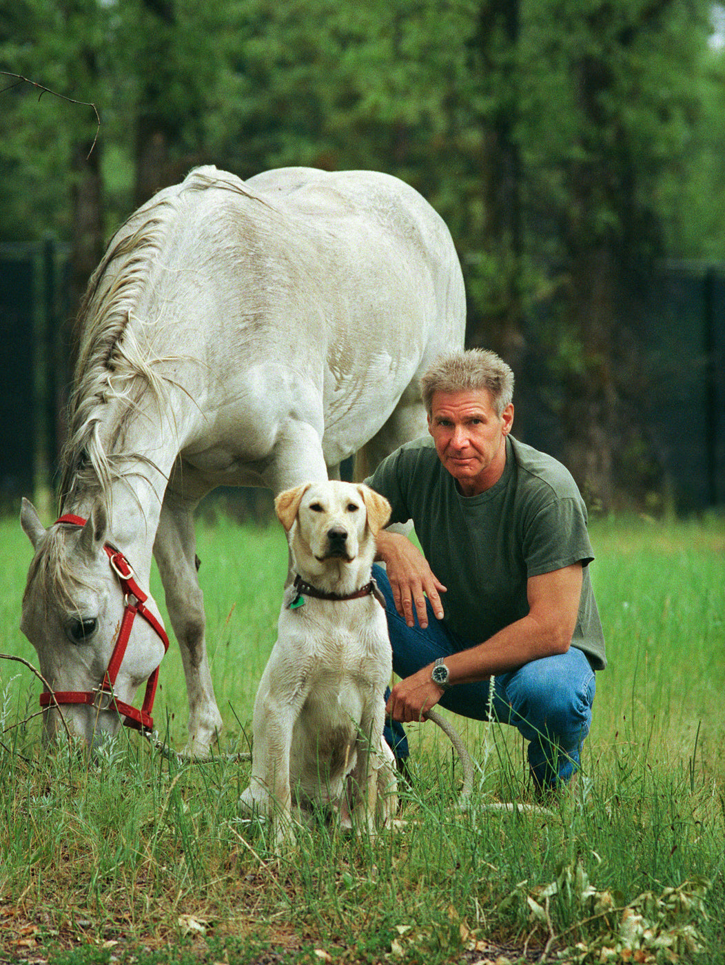 Harrison Ford – Timothy White