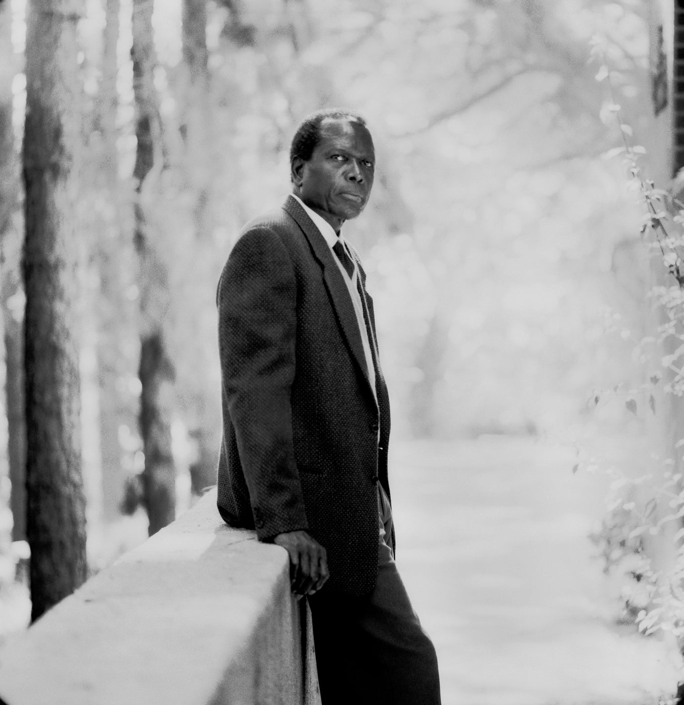 Sidney Poitier – Timothy White