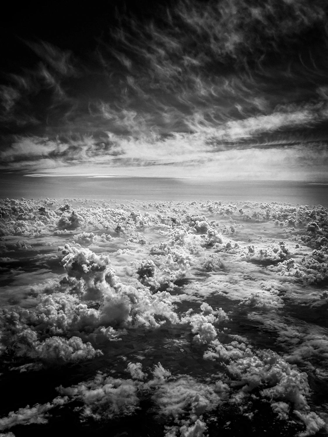 View From Above – Timothy White
